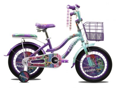 PARADOX RS – PACIFIC BIKE