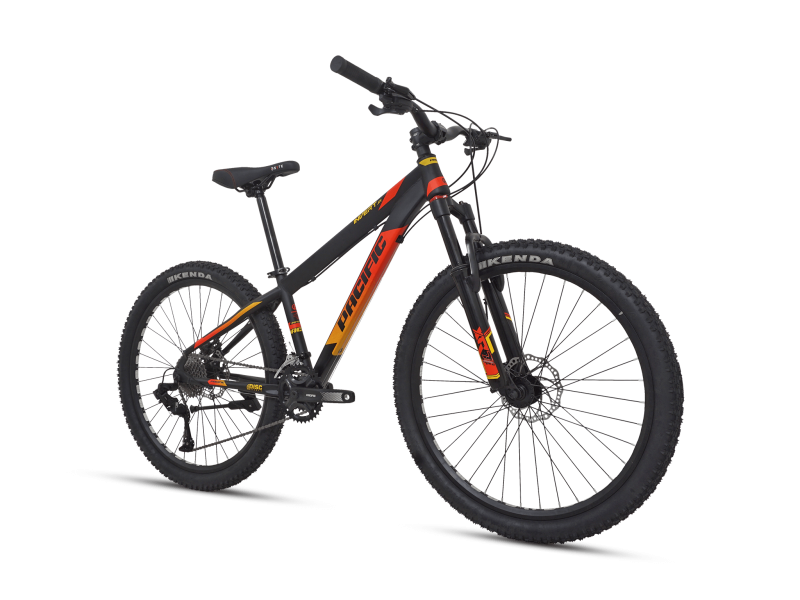 INVERT JR – PACIFIC BIKE