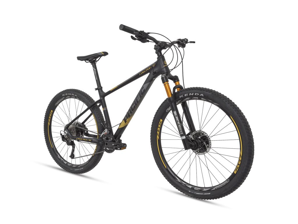 CAMERON 7.0 - PACIFIC BIKE