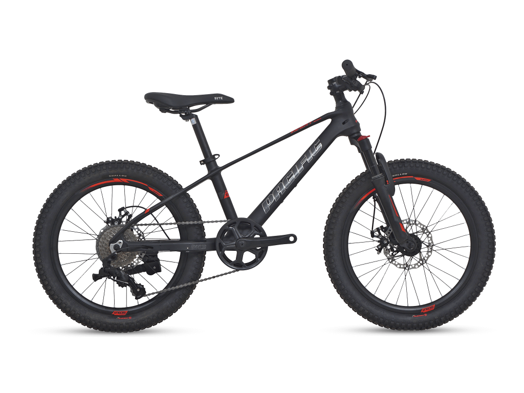 INVERT SCOUT - PACIFIC BIKE