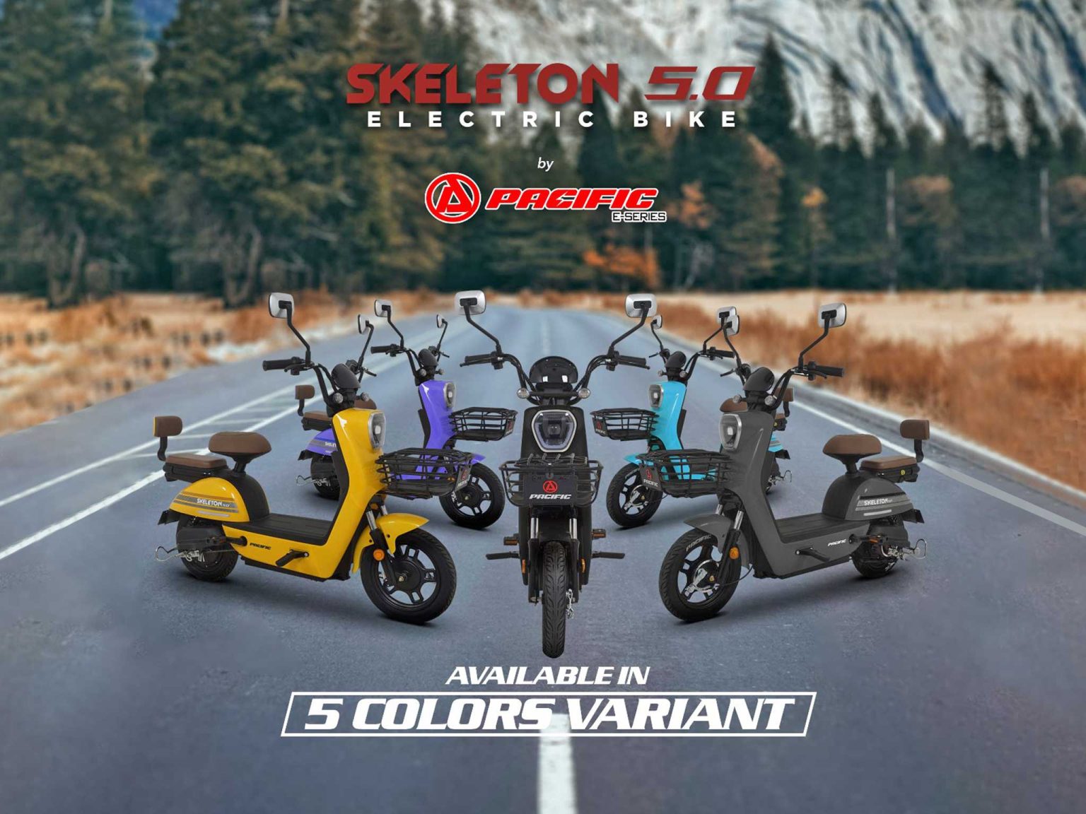 E-SERIES - PACIFIC BIKE