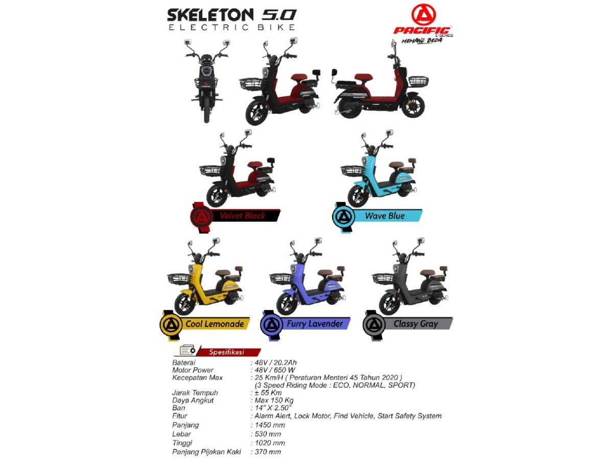 SKELETON 5.0 - PACIFIC BIKE